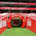 Benfica Stadium and Museum Tour - Stepping onto the Field: A Unique Perspective