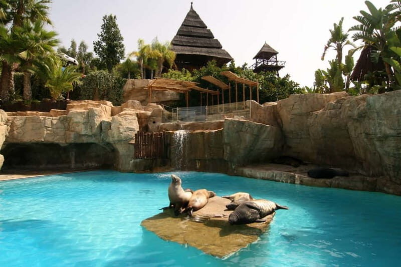 Benidorm: Mundomar Animal Park Entrance Ticket - The Authentic Experience: Authentic Encounters and Genuine Care