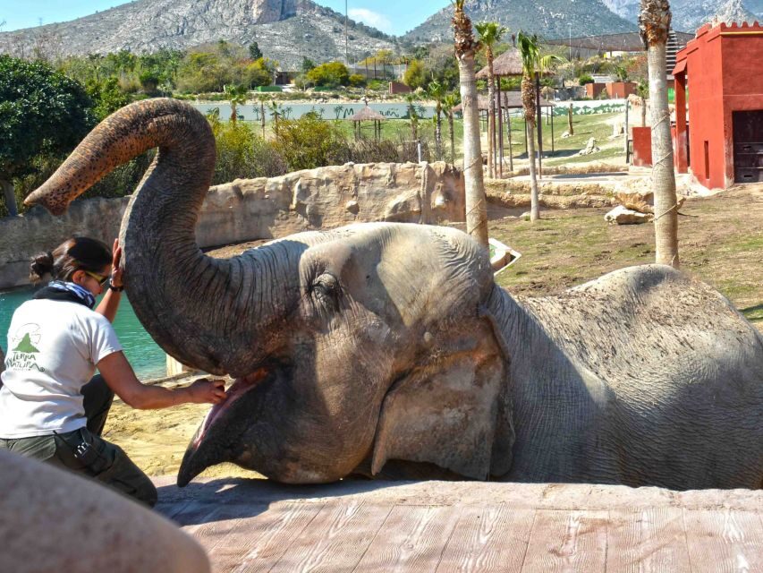 Benidorm: Terra Natura Theme Park 1-Day Tickets - What to Expect at Terra Natura