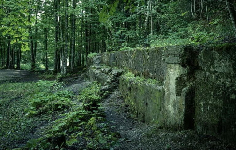 Berchtesgaden: Full Day Eagle's Nest Obersalzberg WWII Tour - The Experience of Visiting WWII Sites in Berchtesgaden