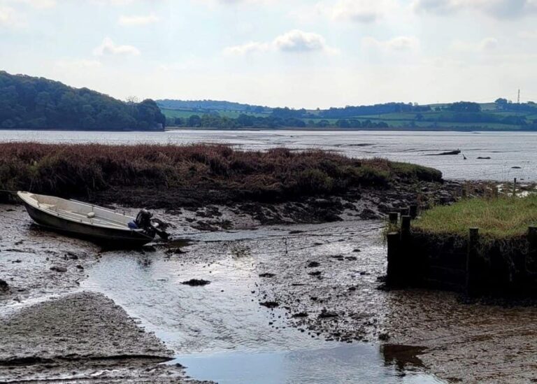 Bere Ferrers: Guided Walk to Tamerton Foliot - The Route Breakdown