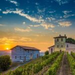 Bergamo and Franciacorta with lunch and cellar visit - Enjoying Lake Iseo and a Traditional Lunch