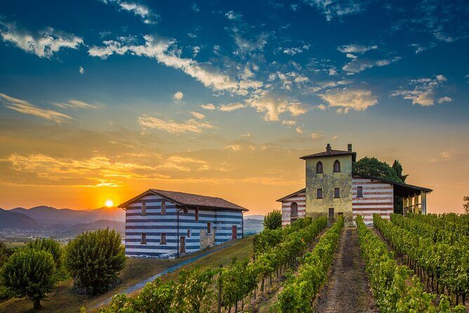 Bergamo and Franciacorta with lunch and cellar visit - Enjoying Lake Iseo and a Traditional Lunch