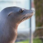 Bergen: Bergen Aquarium Entry Ticket - Our Honest Take