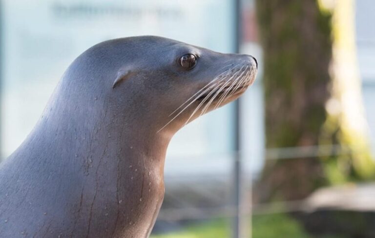 Bergen: Bergen Aquarium Entry Ticket - Our Honest Take