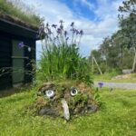 Bergen Magical Nature Tour | ViFlowExperience - The Trail and Natural Discoveries