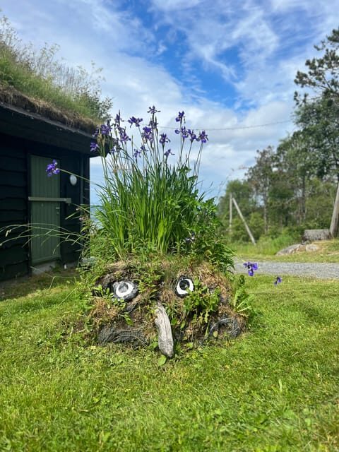 Bergen Magical Nature Tour | ViFlowExperience - The Trail and Natural Discoveries