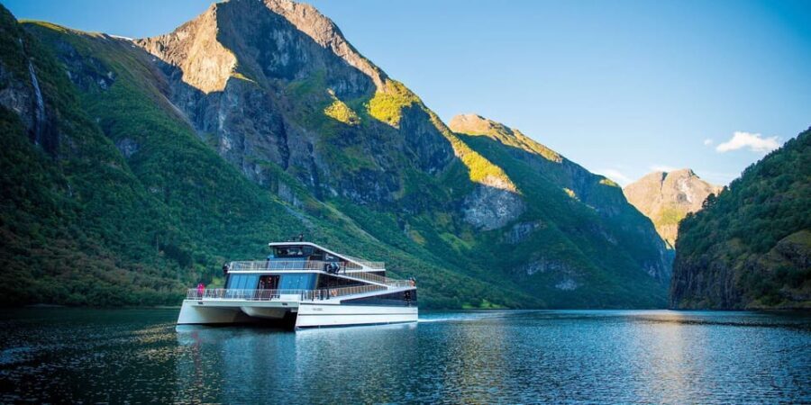 Bergen: Nærøyfjorden, Flåm, and Stegastein Guided Bus Tour - What Sets This Tour Apart?