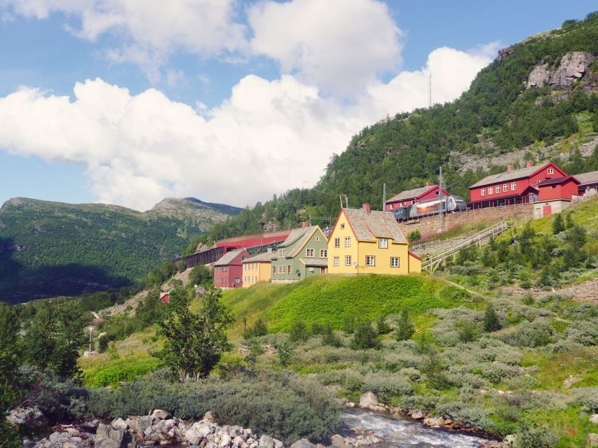 Bergen: Self-Guided Trip to Oslo with Sognefjord cruise (5h) - The Flåm Railway: A Visual Masterpiece