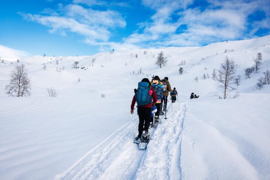 Bergen: Snowshoe Hike - Public Tour - An In-Depth Look at the Bergen Snowshoe Hike