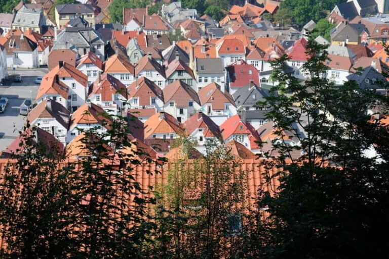 Bergen: Urban Mountain Hiking and History Tour - From City Streets to Local Neighborhoods