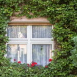 Berlin: Botanic Garden Berlin Entry Ticket with Audio Guide - Practicalities and Tips for Your Visit