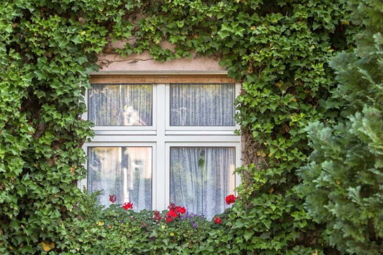 Berlin: Botanic Garden Berlin Entry Ticket with Audio Guide - Practicalities and Tips for Your Visit