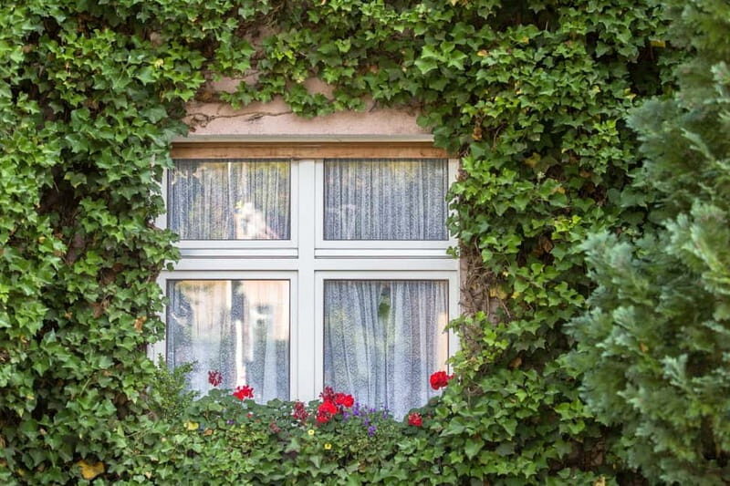 Berlin: Botanic Garden Berlin Entry Ticket with Audio Guide - Practicalities and Tips for Your Visit