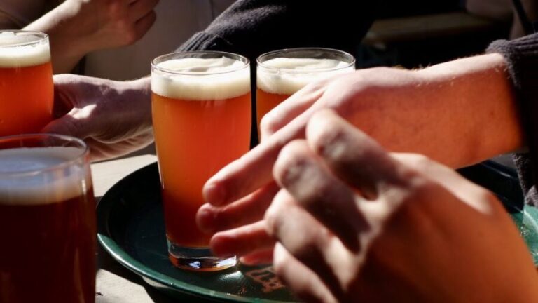 Berlin: Guided Craft Beer & Cultural Tour With Snacks - Who Will Love This Tour?
