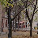 Berlin: Museum Island Guided Walking Tour - Who Will Love This Tour?