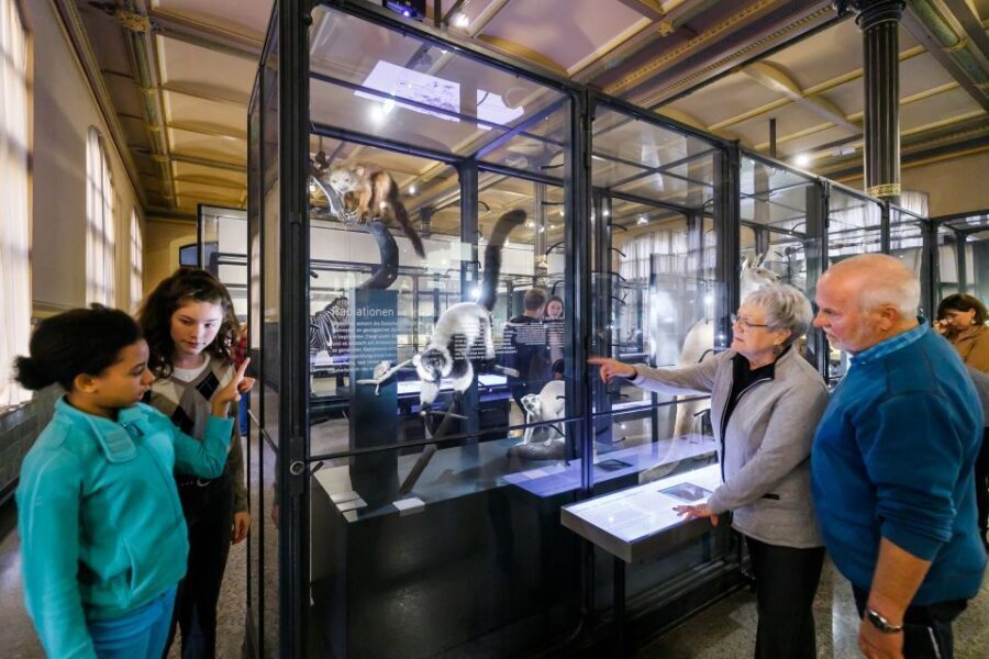 Berlin: Natural History Museum Entrance Ticket - What You Can Expect Inside