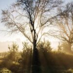 Berlin: Photo course Landschafts- & Naturfotografie - Detailed Breakdown of the Experience