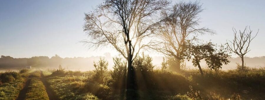 Berlin: Photo course Landschafts- & Naturfotografie - Detailed Breakdown of the Experience