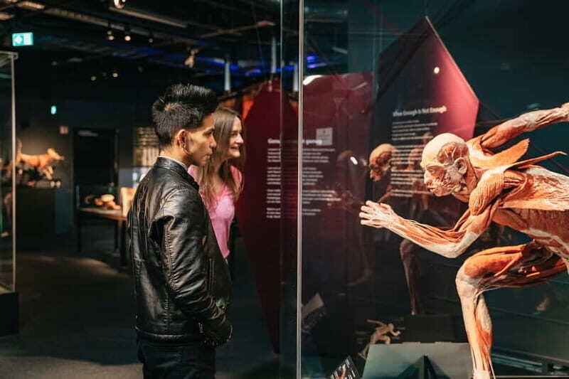 Berlin: Tickets for the BODY WORLDS Museum in Berlin - Insights from Visitors