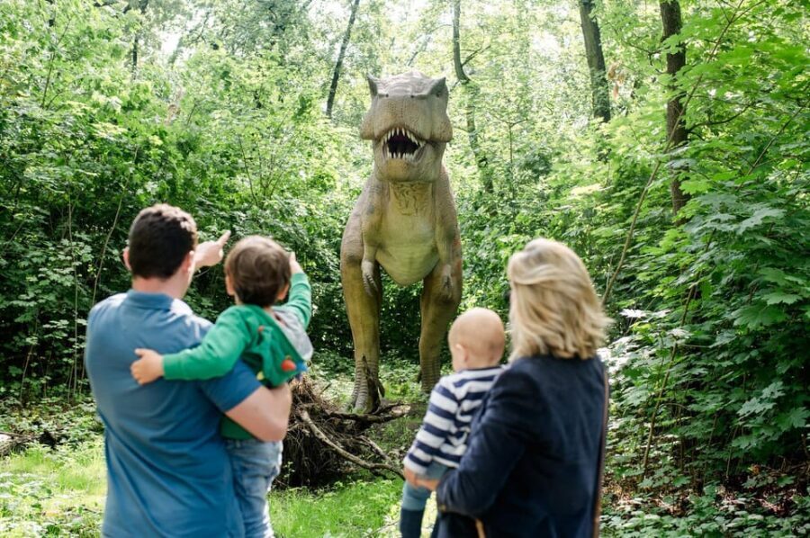 Berlin: Tickets for the Tierpark in East Berlin - The New Africa Savannah: A Major Highlight