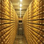 Bern: Gruyères Cheese and Cailler Chocolate Tasting Tour - What Travelers Are Saying