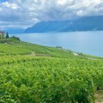 Bern Private Tour - Gruyères , Cheese, and Lavaux's UNESCO Wine - Who Would Enjoy This Tour?