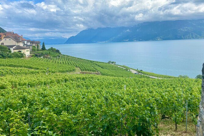 Bern Private Tour - Gruyères , Cheese, and Lavaux's UNESCO Wine - Who Would Enjoy This Tour?