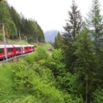 Bernina train and Swiss Alps. Departure from Desenzano - Who Will Love This Tour?