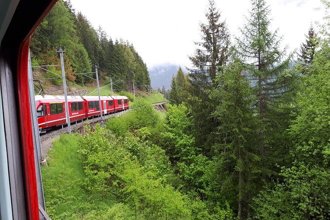 Bernina train and Swiss Alps. Departure from Desenzano - Who Will Love This Tour?
