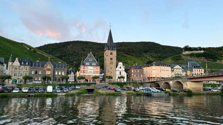 Bernkastel: 1-hour panoramic boat tour Lieser, Mülheim and back - The Itinerary and What to Expect at Each Stop