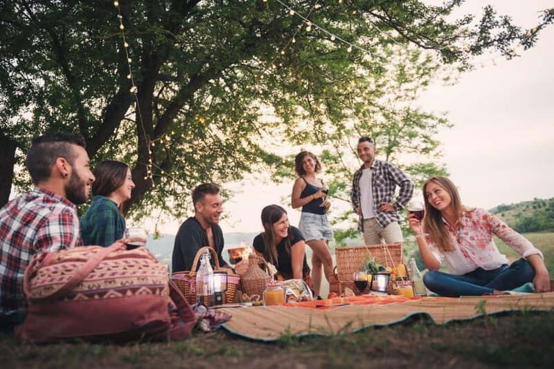 Bernkastel-Kues, Moselle: Bicycle picnic boat tour with wine tasting - What’s Included and What’s Not