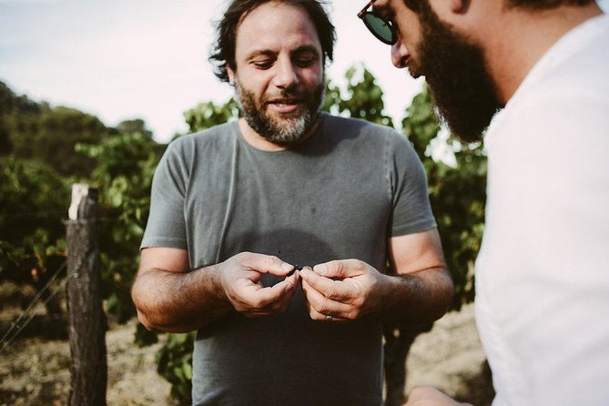 Bertrand Bosc wine and food tour in Pic St Loup - Key Points