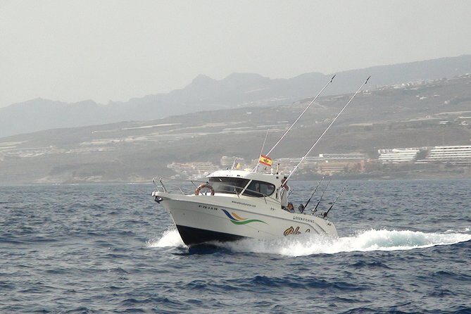 Best Fishing experience in Tenerife island - Insights from Past Travelers