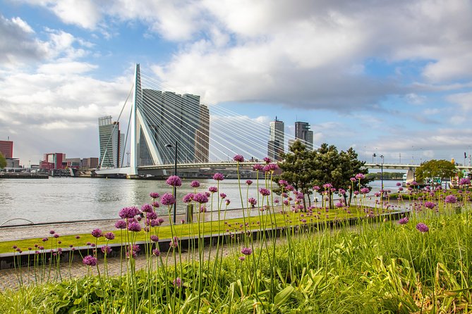 Best Intro Tour of Rotterdam with a Local - Why Choose a Local-Guided Tour in Rotterdam?
