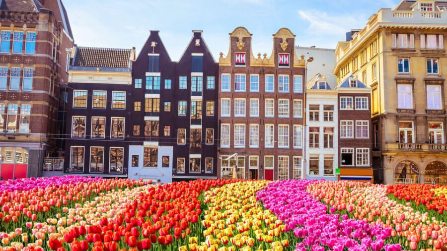 Best of Amsterdam: Private Walking Tour with a Local - FAQ