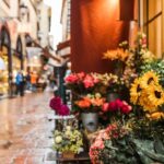 Best of Bologna: Private & Personalised Walking Experience - Why This Tour Offers Excellent Value