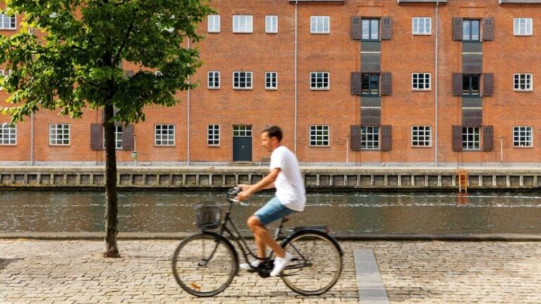 Best of Copenhagen: Private Walking Tour with a Local - Authentic Experiences from Travelers