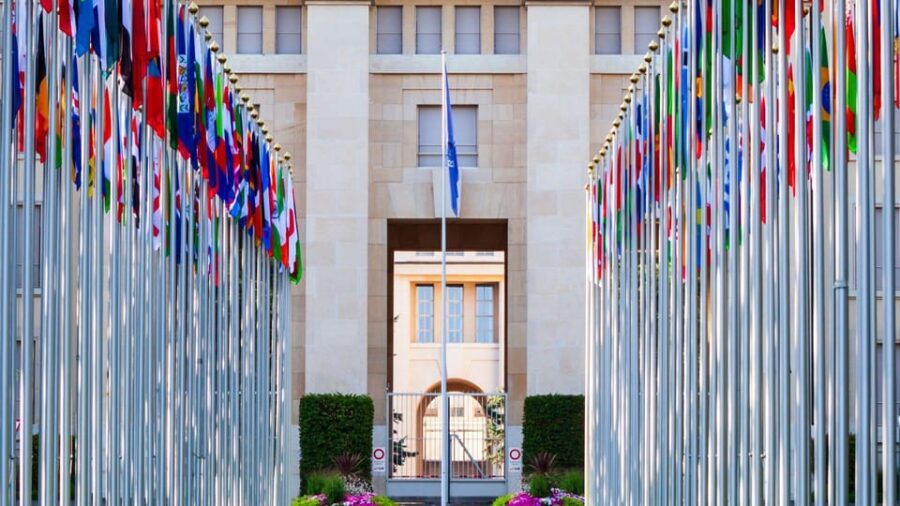 Best of Geneva: Private Walking Tour with a Local - What to Expect from Your Geneva Walk