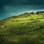Best of Ireland 6-Day Backpackers Economy Tour - What Does It All Cost — And Is It Worth It?