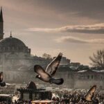 Best Of Istanbul :1-2 or 3 Day Private Istanbul Guided Tour - Who Should Consider This Tour?
