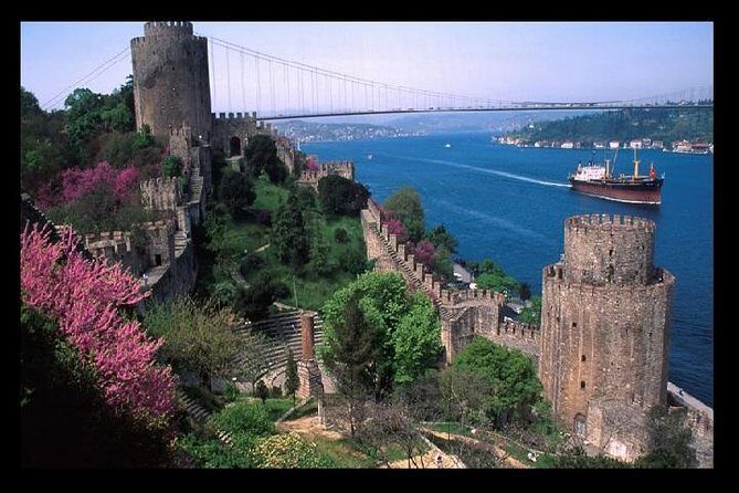 Best of Istanbul Tour - Transportation, Timing, and Group Size