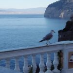 Best Of Naples Shore Tour In 1 Day: Pompei & Amalfi Coast & Limoncello Tasting - The Limoncello Tasting: A Local Flavor