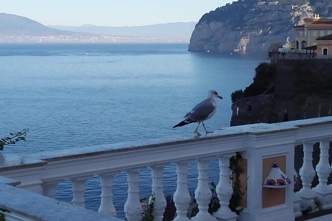 Best Of Naples Shore Tour In 1 Day: Pompei & Amalfi Coast & Limoncello Tasting - The Limoncello Tasting: A Local Flavor