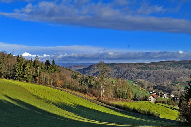 Best of the Black Forest and Rhinefalls from Zurich - Introduction