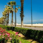 Best of Valencia: Highlights with Private Transport and Top - Who Would Enjoy This Tour?