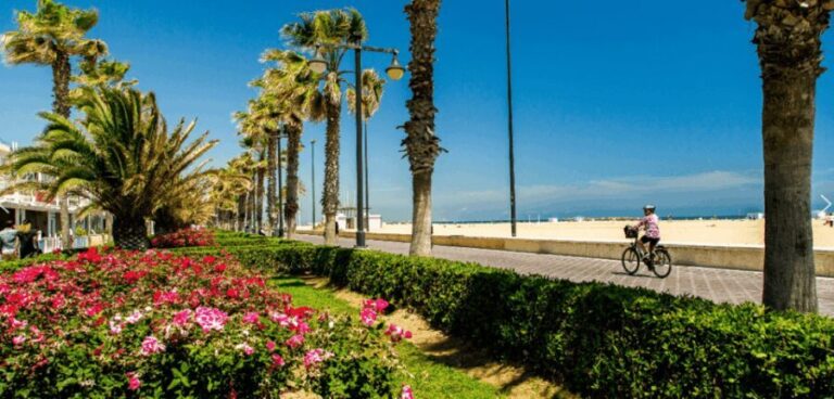 Best of Valencia: Highlights with Private Transport and Top - Who Would Enjoy This Tour?