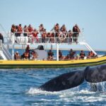 Best Tour to Peninsula Valdes - Breaking Down the Itinerary