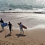 Biarritz: Half-day private surf lesson with an instructor! - What to Expect: An In-Depth Look at the Experience