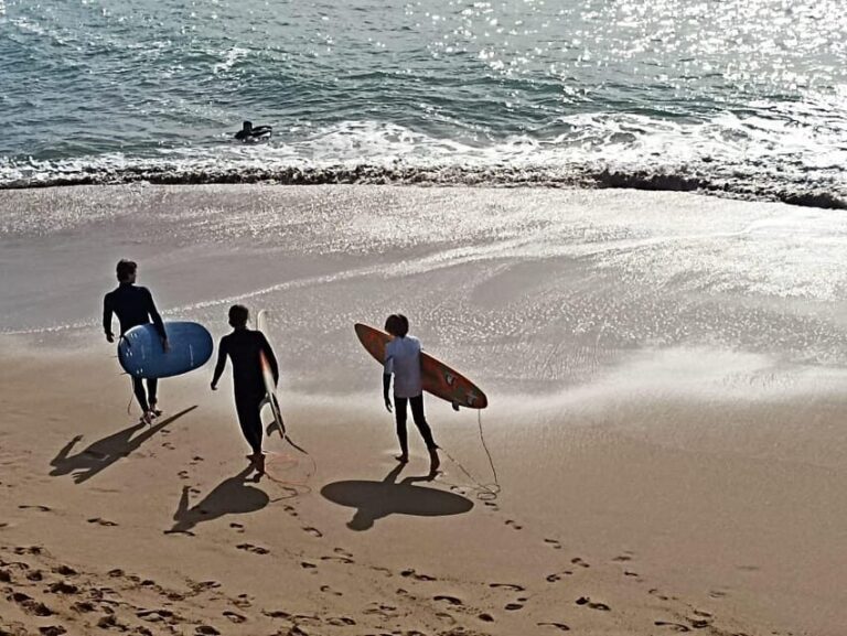Biarritz: Half-day private surf lesson with an instructor! - What to Expect: An In-Depth Look at the Experience